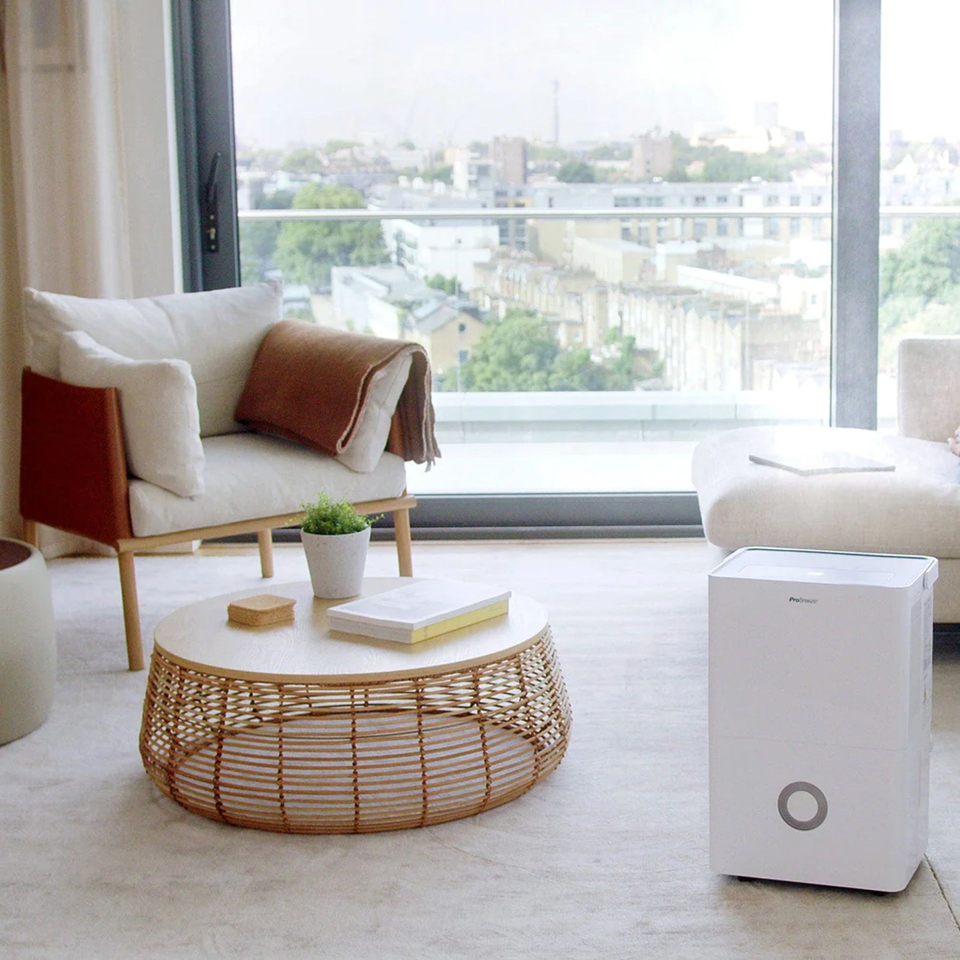 Will a dehumidifier dry out damp walls? Experts explain | Ideal Home