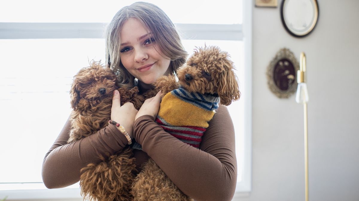 Reasons to love poodles | PetsRadar