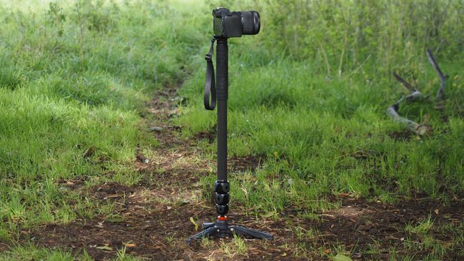 The best monopod | Digital Camera World