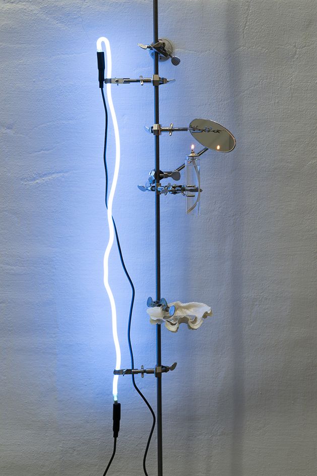 Elaine Cameron-Weir's sculptures evoke the animal world | Wallpaper