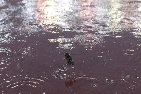 The Weirdest Things That Fell From The Sky | Live Science