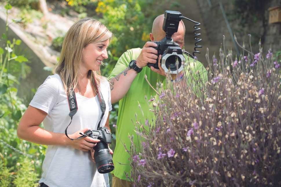 How to shoot close-ups - Macro lenses: how to choose one, and how to ...