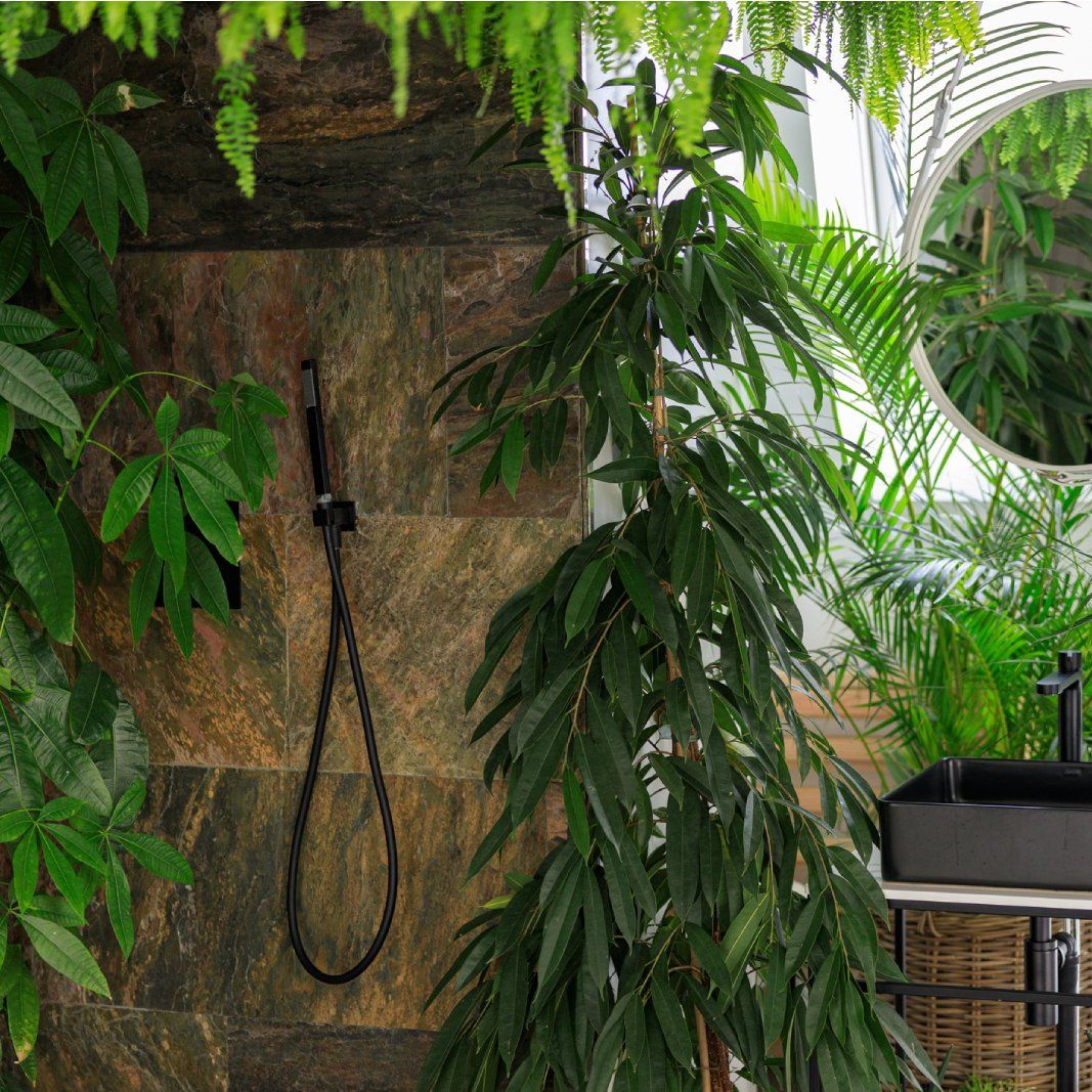 Turn Your Bathroom Into A Rainforest With These 6 Shower Plants ...