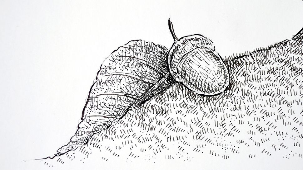 Create organic textures in ink | Creative Bloq