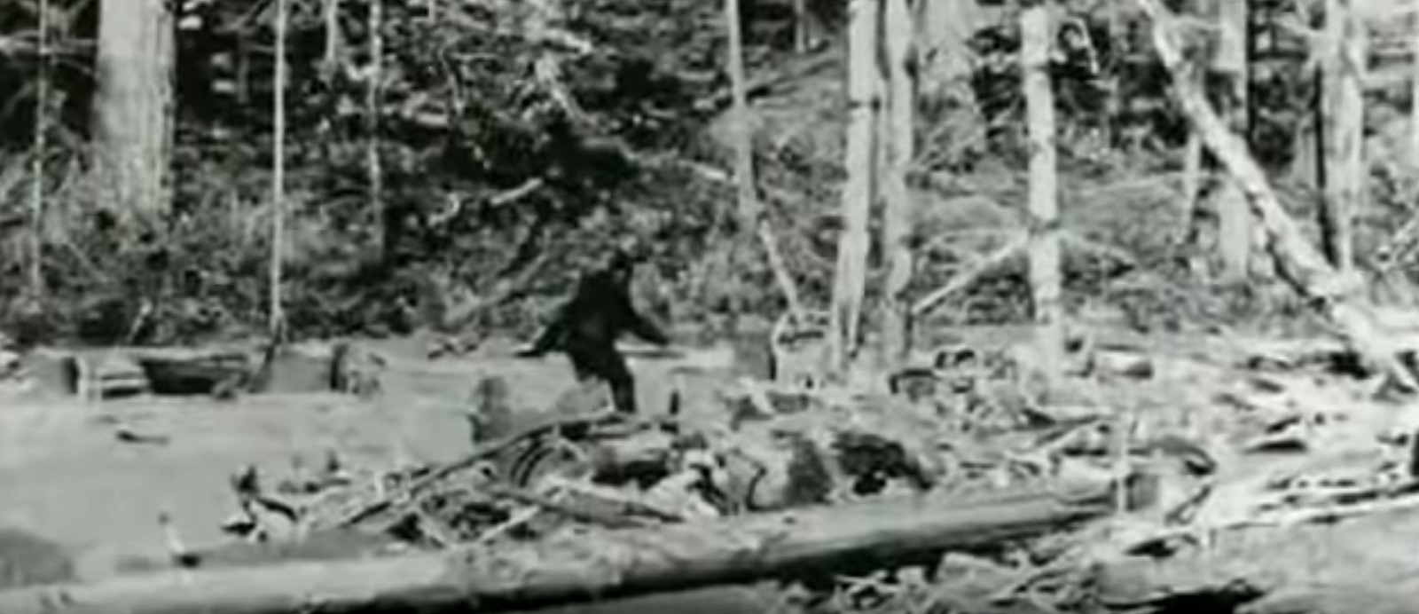 The enduring legend of Bigfoot | The Week