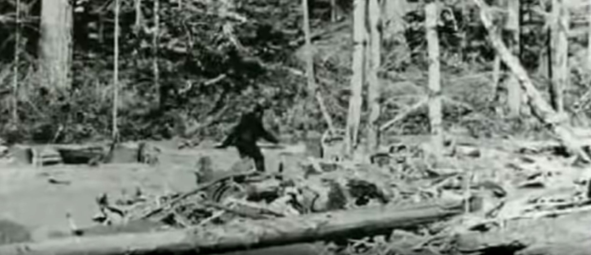 The enduring legend of Bigfoot | The Week
