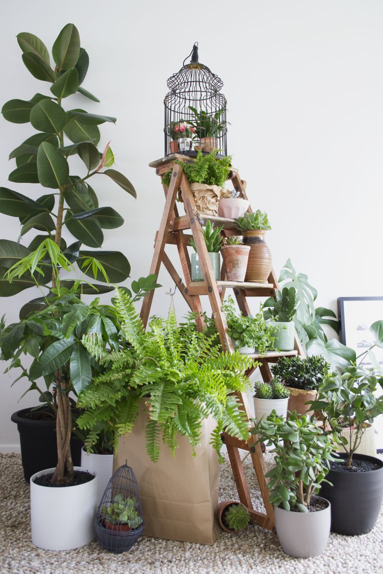 Indoor plants: create your own indoor garden | Marie Claire UK