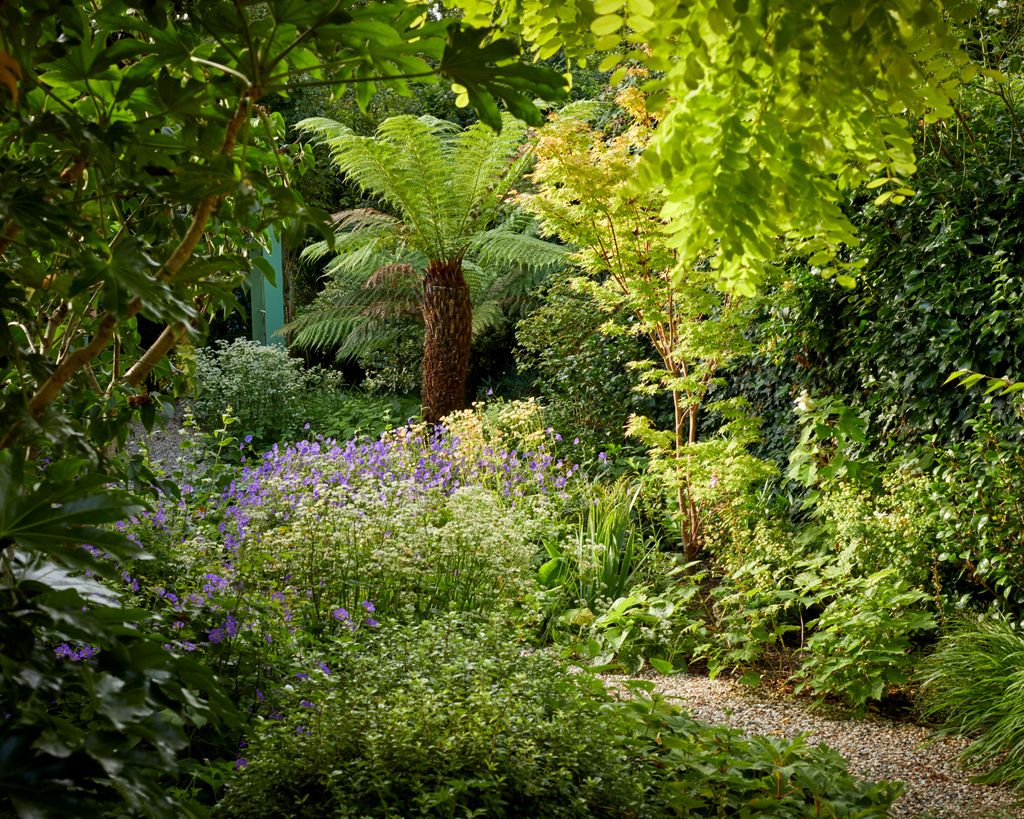 The Society of Garden Designers Awards 2022: the winners | Homes and ...
