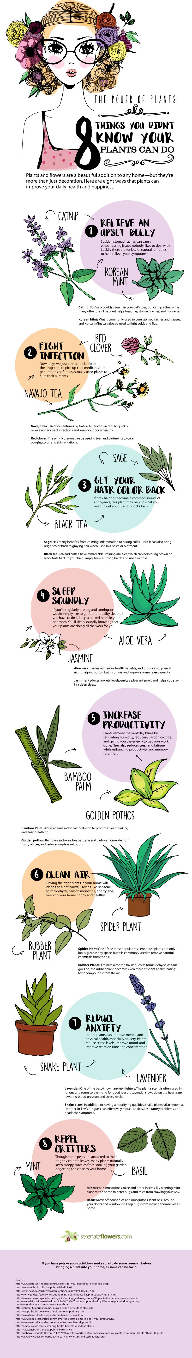 11 easy-to-find plants that will improve studio life | Creative Bloq
