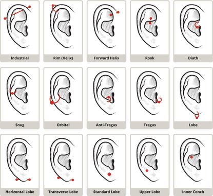 How to pick an ear piercing: the best types of ear piercings to try ...