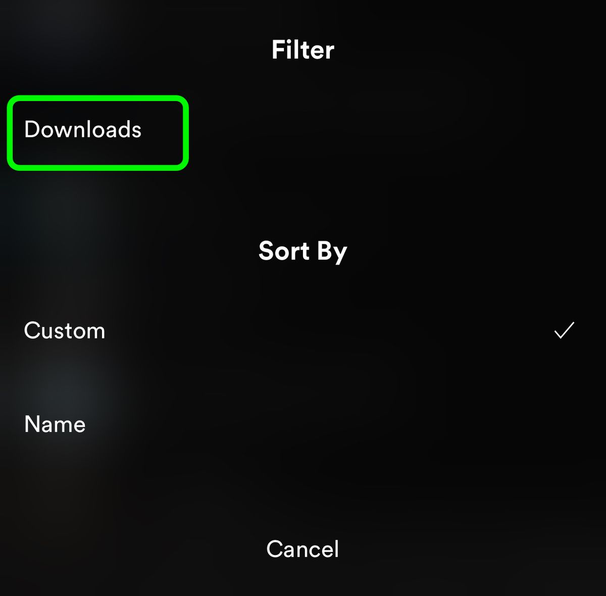 How to Listen to Spotify Offline Using Your iPhone | Tom's Guide