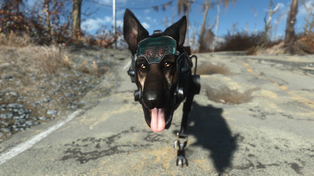 Mod brings Cyberdog Rex from New Vegas to Fallout 4 | PC Gamer