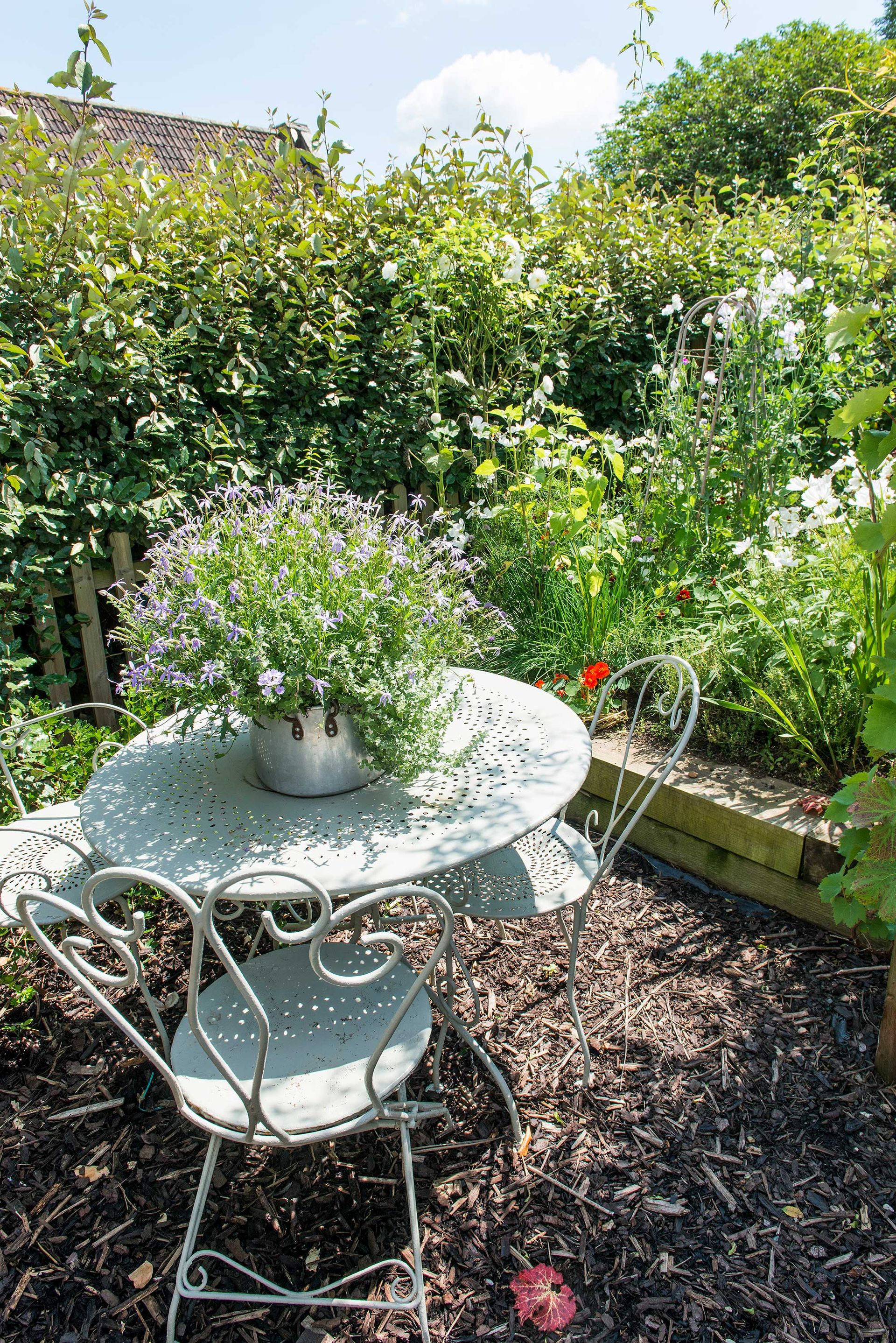 Free garden ideas: 13 ways to refresh your outdoor space without ...