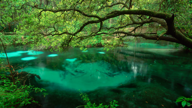 A new national park? Lawmakers call for 2,800 square miles of Florida ...