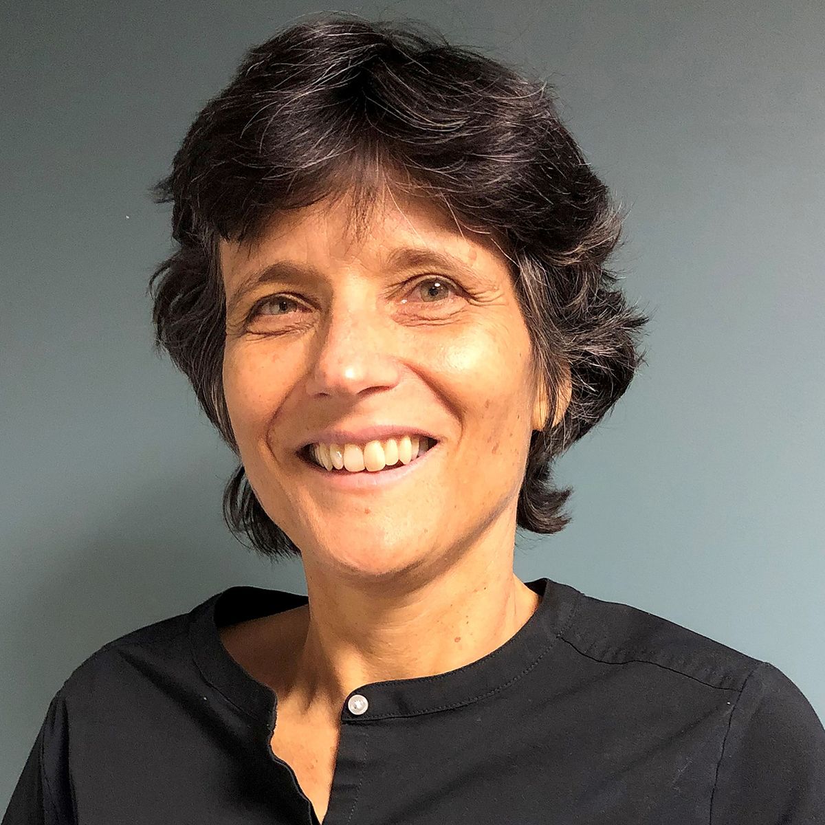 The Increased Role of PTZs | AVNetwork