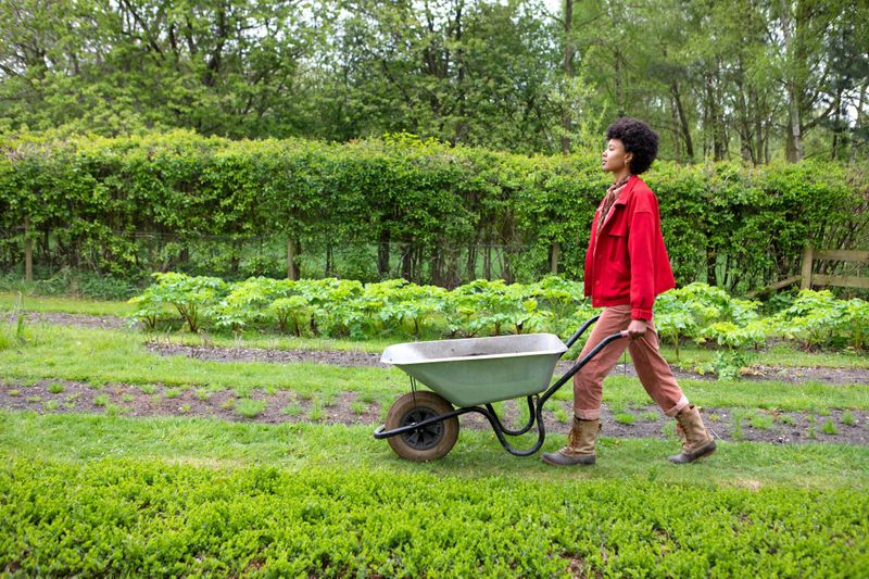 The Country Life Podcast | Country Life