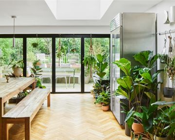 A house in Hackney is transformed into an indoor jungle with countless ...