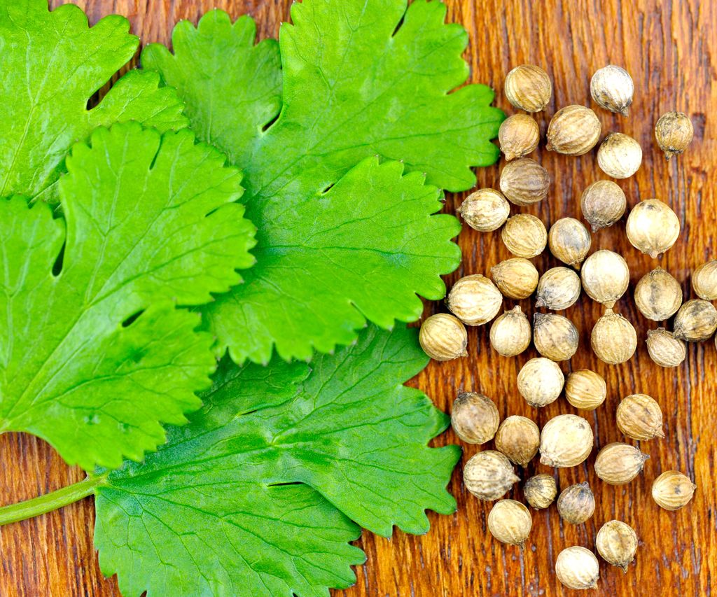 Best edible seeds: 10 nutritious seeding plants to harvest | Homes and ...