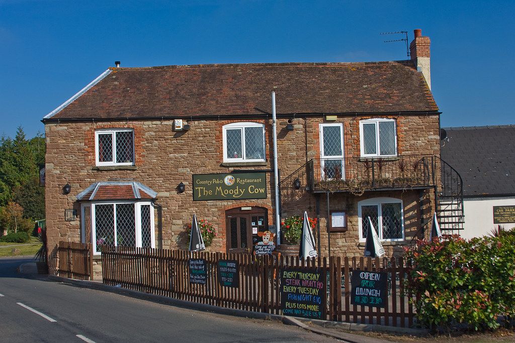 British pubs with quirky animal names | Country Life