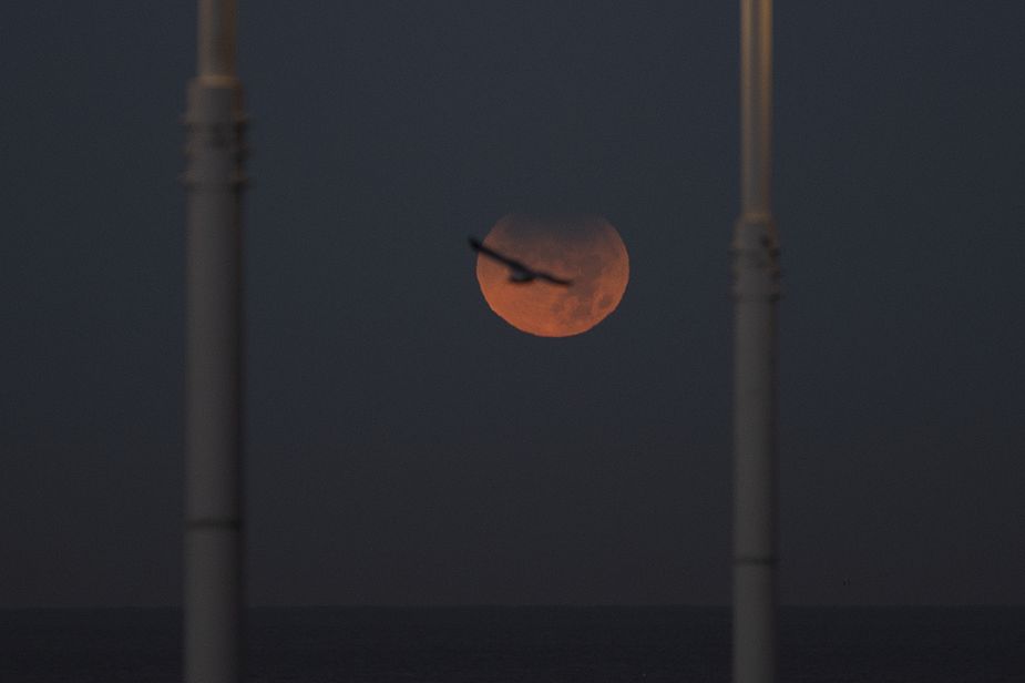 Amazing photos of the longest partial moon eclipse in 580 years | Space