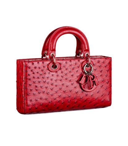 Dior's Unique New Bags Are the Definition of Eye Candy | Who What Wear