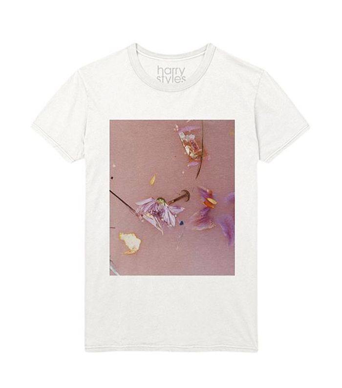 Harry Styles's Tour Merch T-Shirts Are Seriously Cool | Who What Wear