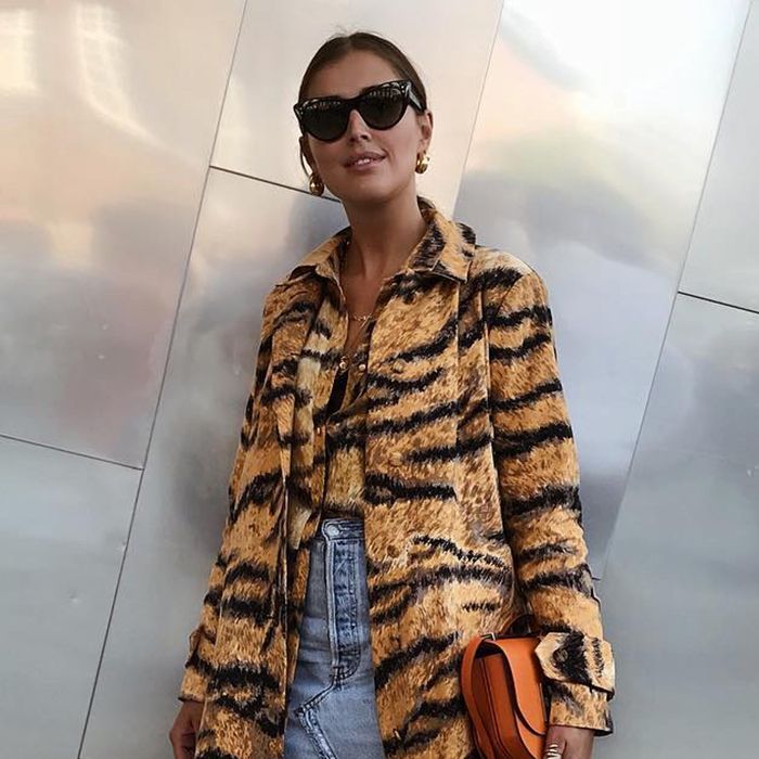 Shop the Chicest Animal-Print Clothes at Every Budget | Who What Wear