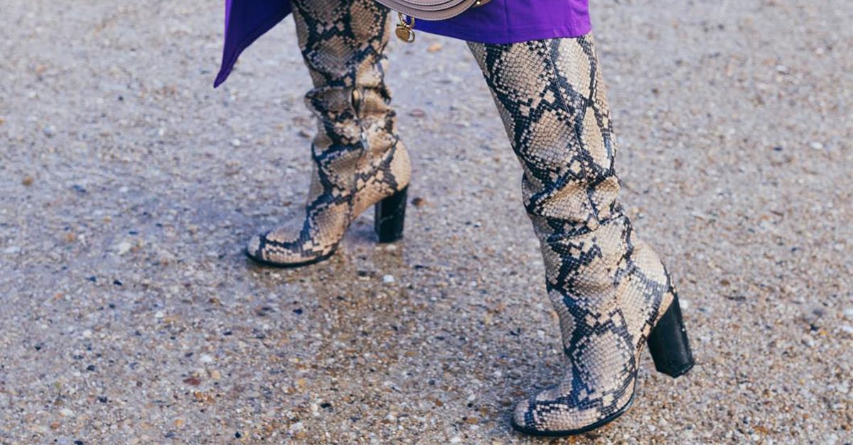 Animal-Printed Boots: Shop the Best New Season Styles Now | Who What Wear