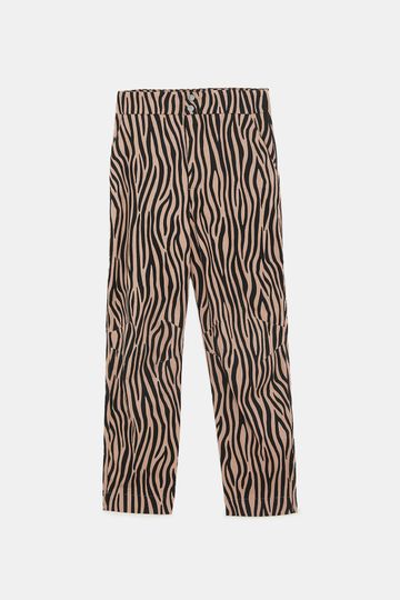 20 Animal-Print Zara Pieces That Will Sell Out | Who What Wear