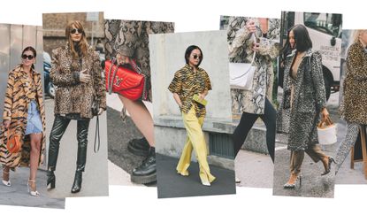 The 2018 Street Style Awards | Who What Wear