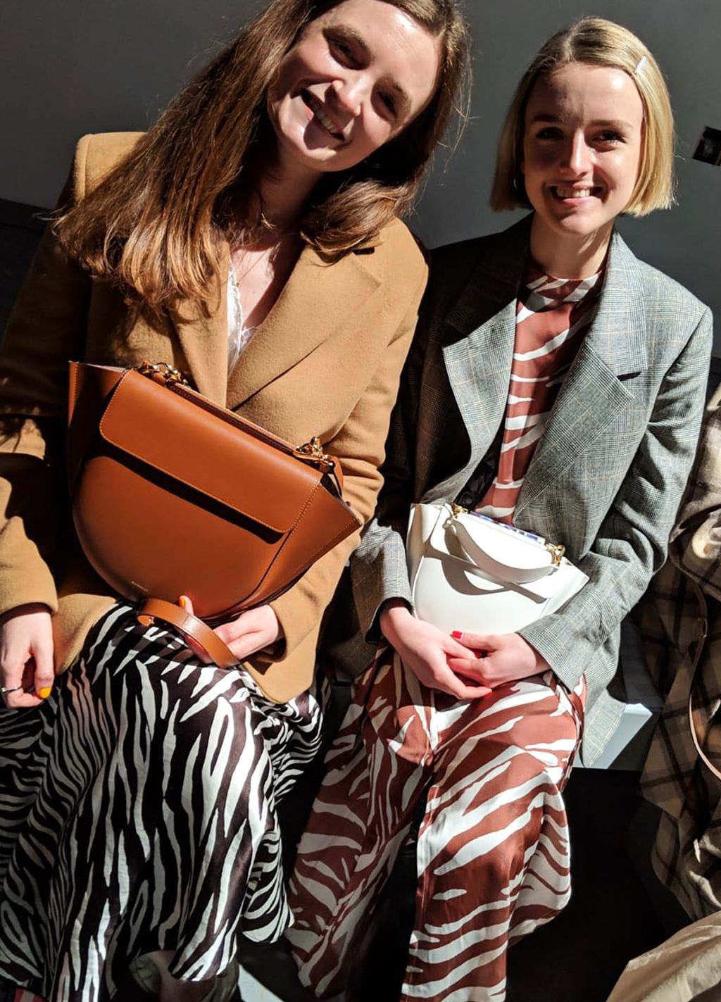 The Best Zebra-Print Dresses to Buy Now | Who What Wear