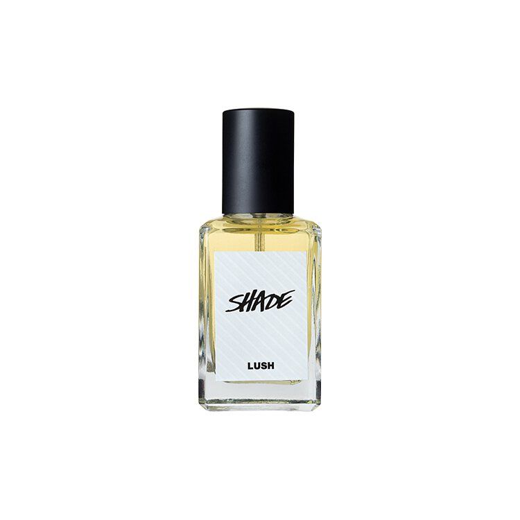 The 25 Best Cheap Perfumes That Smell Expensive | Who What Wear UK