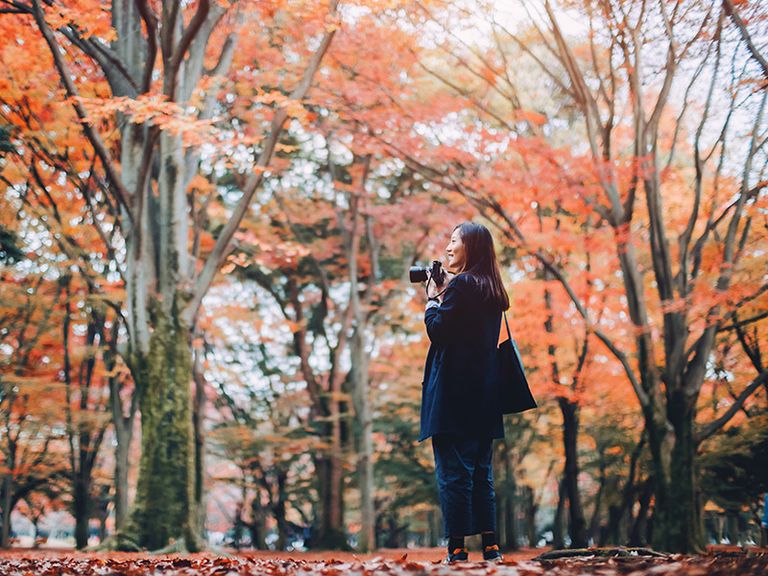 25 Things to Do This Fall | Who What Wear