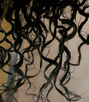 An Honest Review of Tracee Ellis Ross's Pattern Haircare | Who What Wear