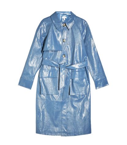 The Best Topshop Coats You Need to See This December | Who What Wear