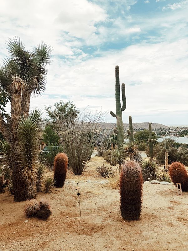 How the Founder of Ban.do Starts Her Day in the Desert | Who What Wear