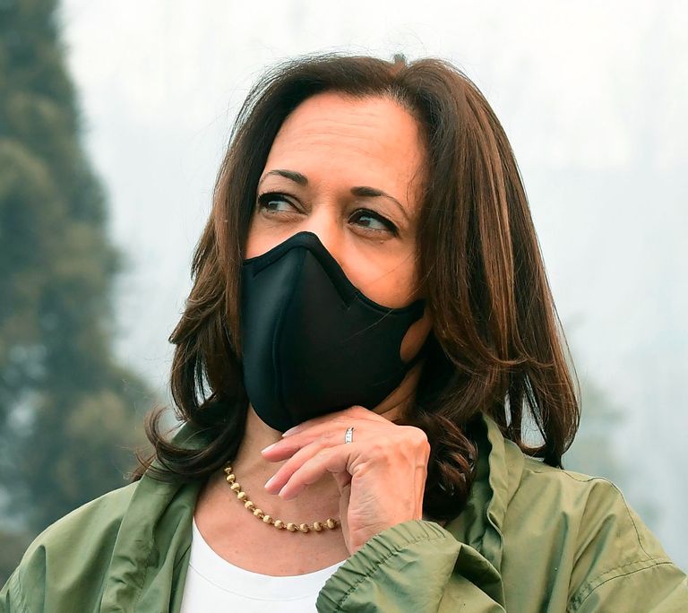 Kamala Harris's Favorite Face Mask Is on Amazon | Who What Wear