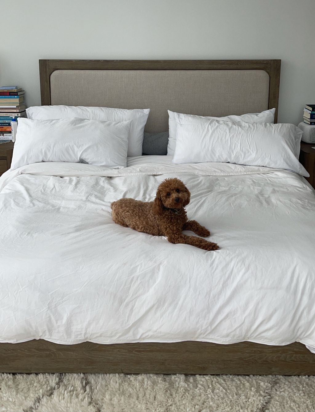 How Model and Mom-to-Be Emily DiDonato Starts Her Mornings | Who What Wear