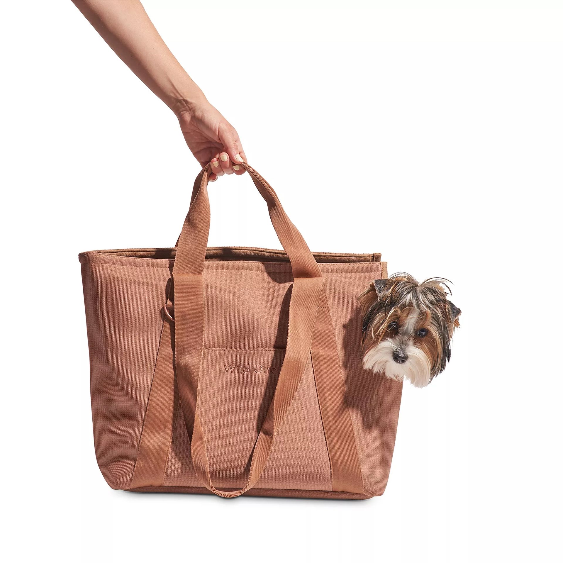 28 Stylish Dog Accessories We're Telling Everyone About | Who What Wear
