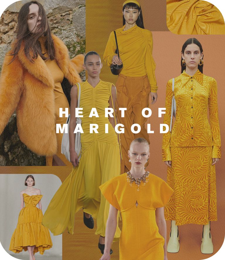 The 5 Color Trends That Will Be Winning Fall 2022 | Who What Wear