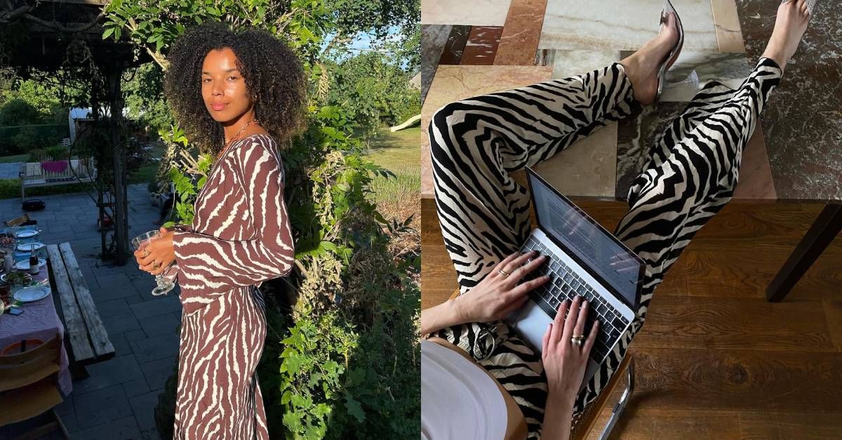 The Best Zebra-Print Pieces to Buy Now | Who What Wear