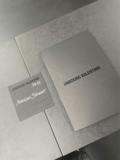 Morgan Stewart McGraw Takes Us Behind Her Valentino Look | Who What Wear