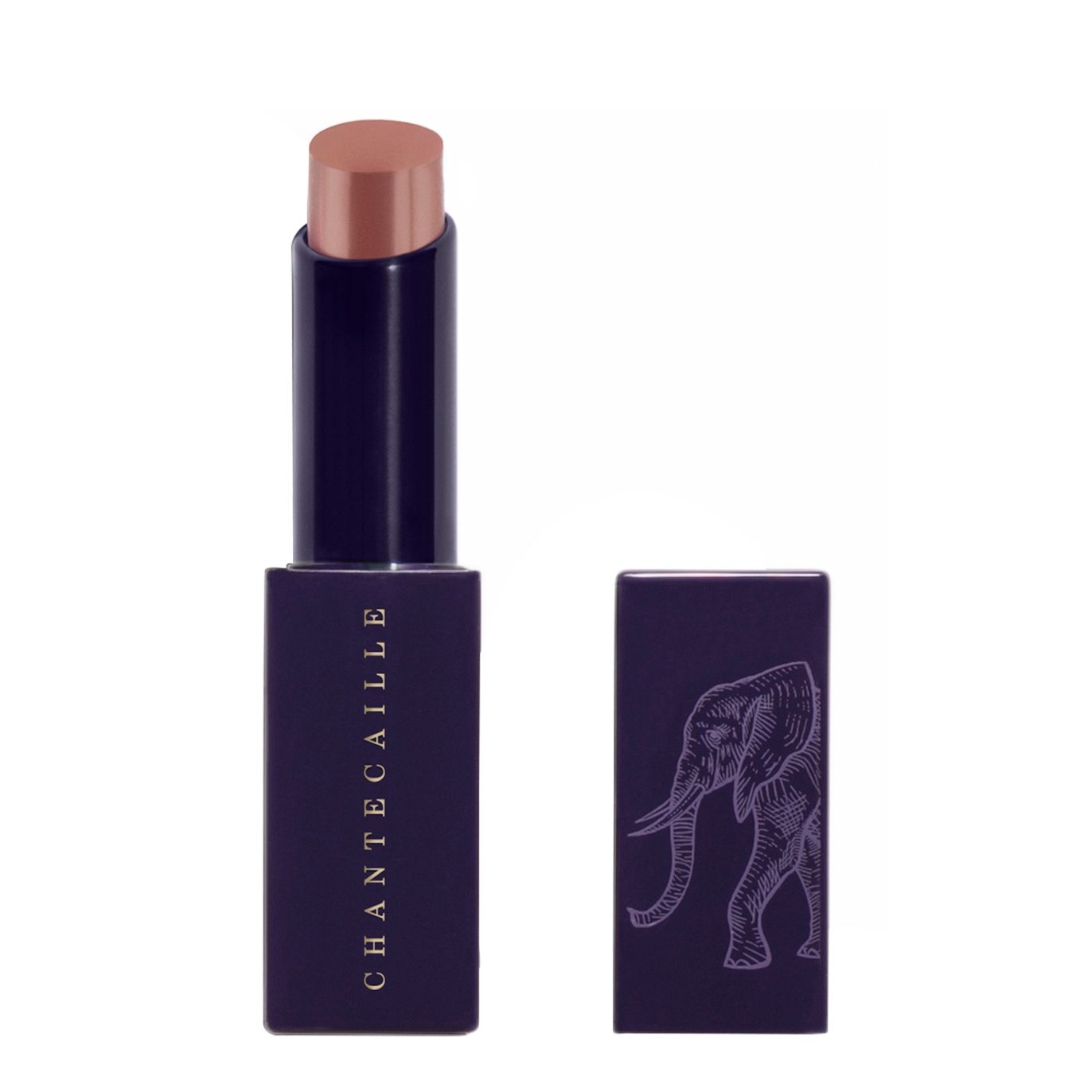 An Honest Review of Chantecaille Future Skin Gel Foundation | Who What Wear