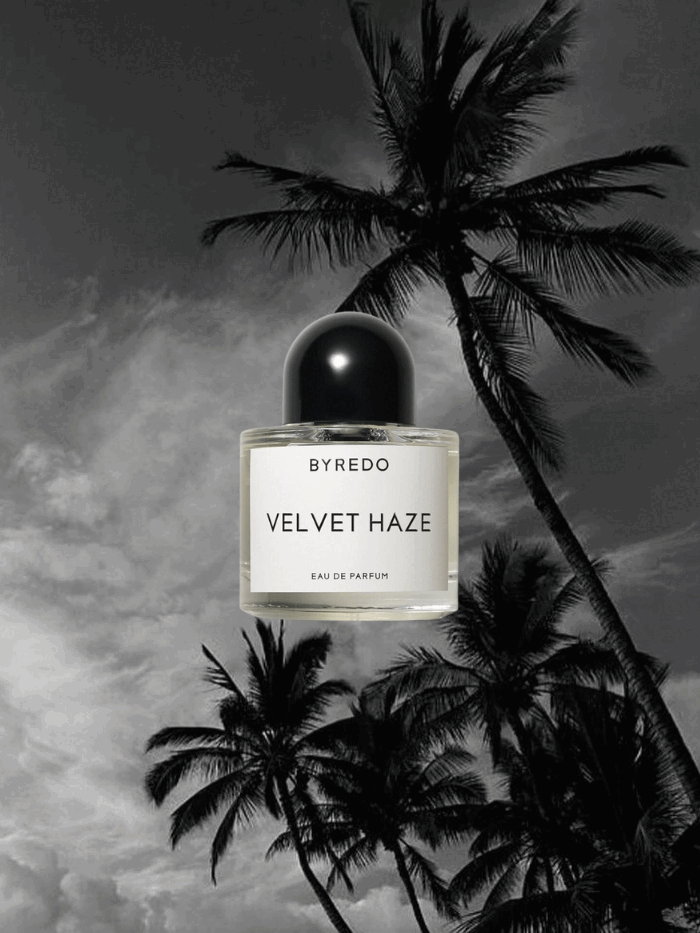 The 19 Best Coconut Perfumes of All Time, Hands Down | Who What Wear
