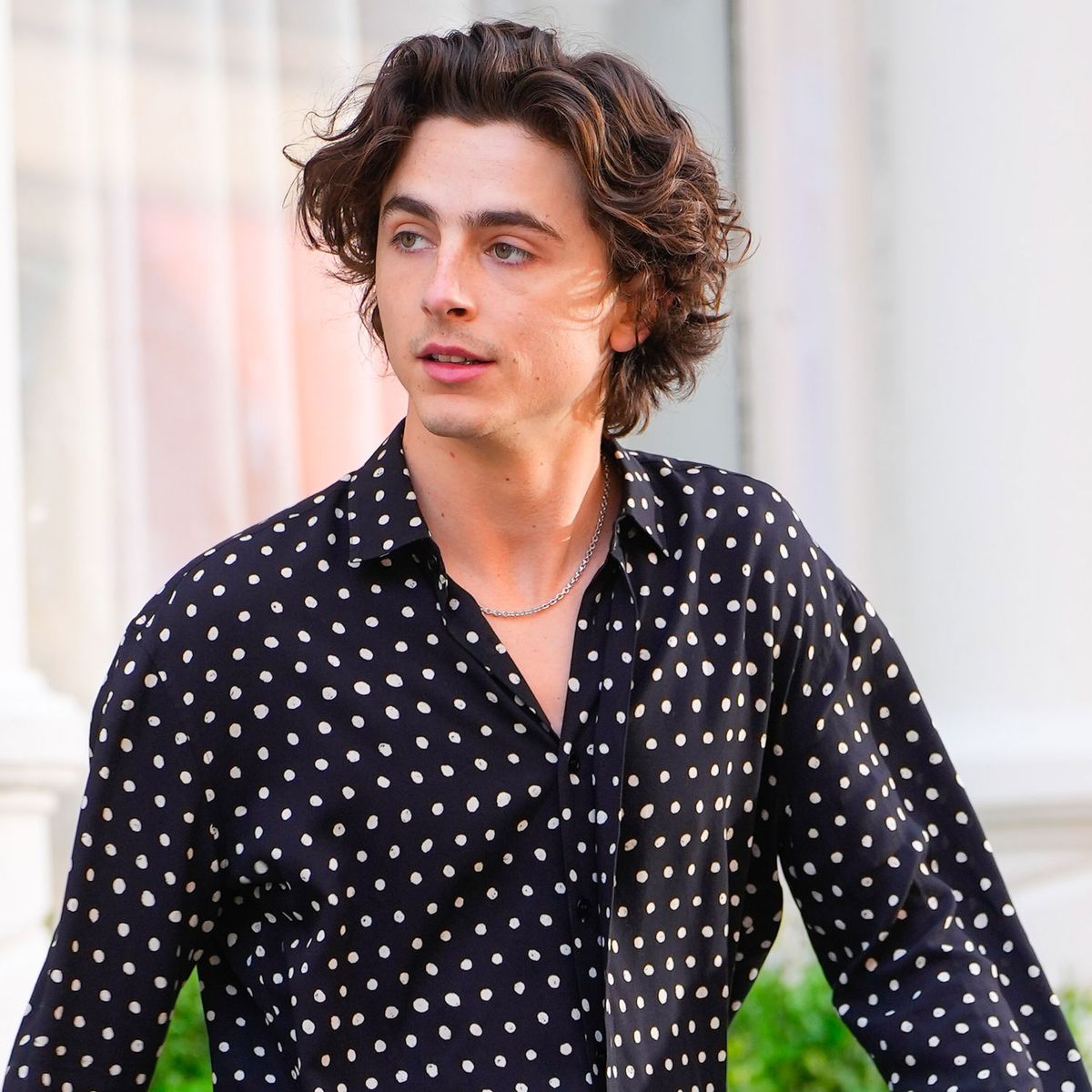 Timothée Chalamet's Blue Converse Sneakers are My Next Buy | Who What Wear