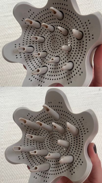 Shark FlexStyle: Reviewed by a Beauty Editor | Who What Wear