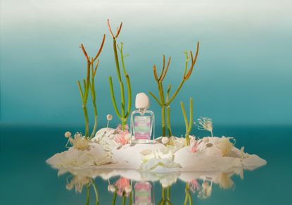This Fragrance House Makes Perfumes Using Extinct Flowers | Who What Wear