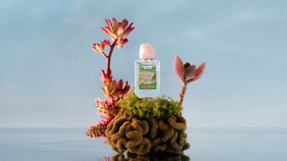 This Fragrance House Makes Perfumes Using Extinct Flowers | Who What Wear