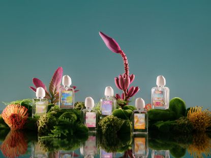 This Fragrance House Makes Perfumes Using Extinct Flowers | Who What Wear