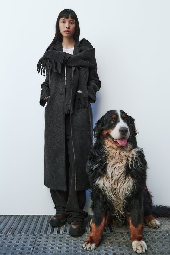 31 Under-$250 Coats That Look Like Pure Luxury | Who What Wear